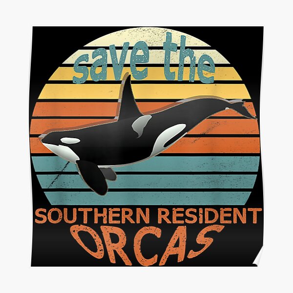"Save the Southern Resident Orcas Vintage Retro Drawing " Poster for ...