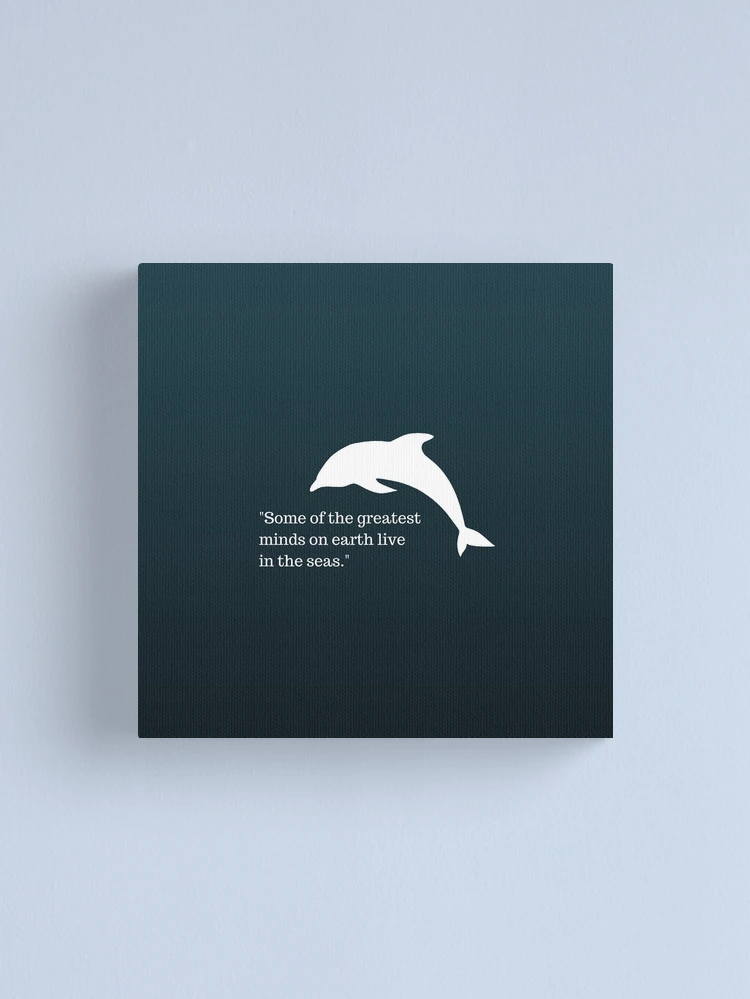 Dolphin Pictures With Quotes