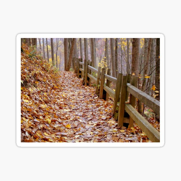 "Leaf Lined Path..... ^" Sticker for Sale by ctheworld | Redbubble