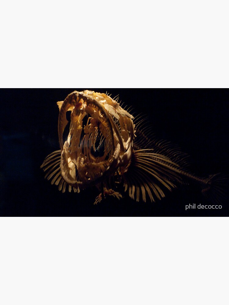 "Lingcod Skeleton" Art Print by pdecocco | Redbubble
