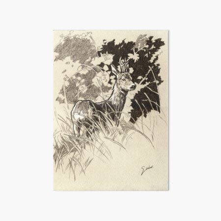 "Roebuck in the field drawing" Art Board Print for Sale by SakalDesign ...