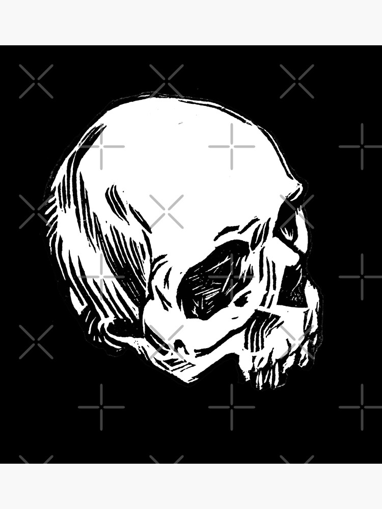 "Block Skull" Photographic Print for Sale by blindthistle | Redbubble