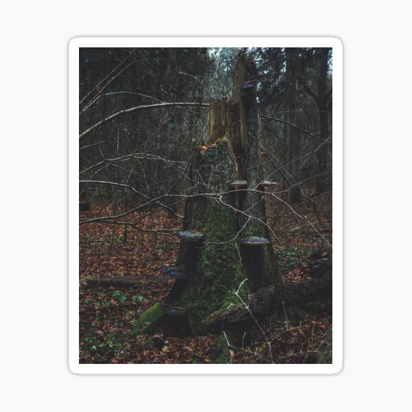 Collectibles Souvenirs & Events Original collectible Stumpy tree stump ...