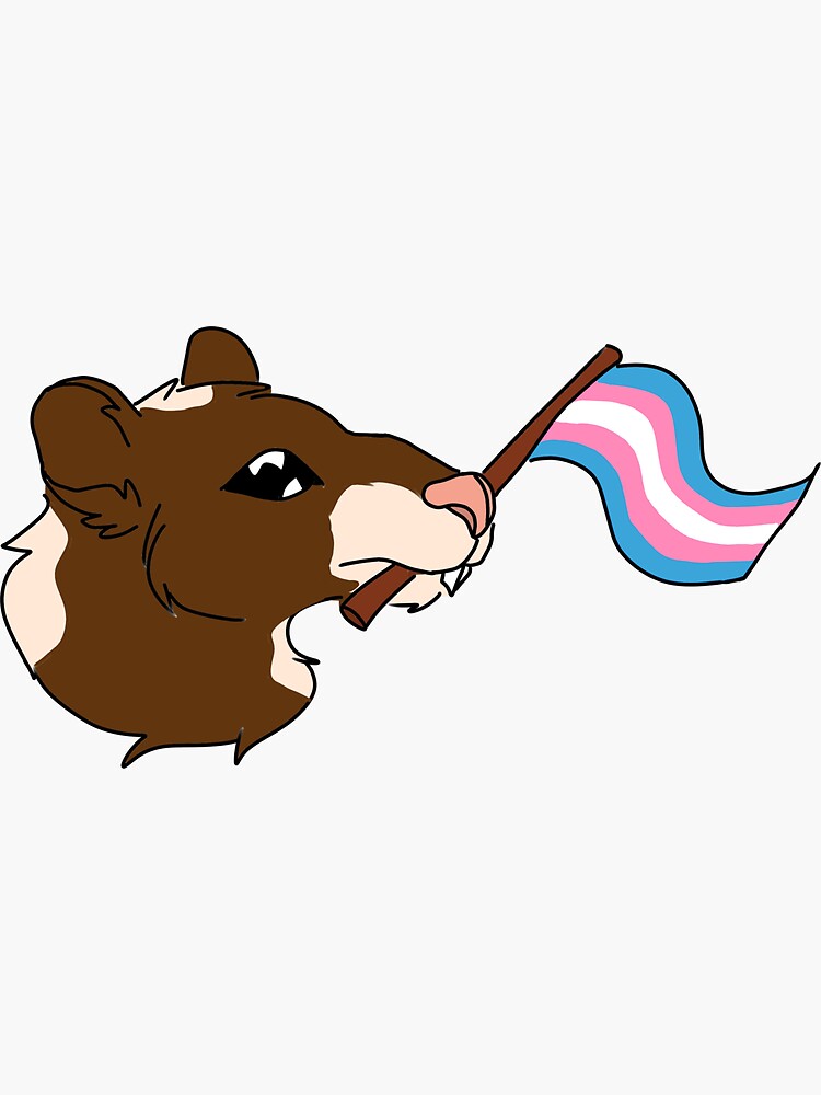 "Trans pride rat" Sticker for Sale by rattyboylukas | Redbubble