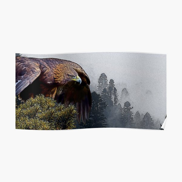 "Golden Eagle" Poster for Sale by ganieda | Redbubble