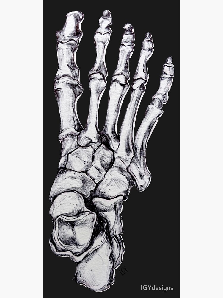 "Anatomical Skeleton Foot Bone " Poster for Sale by IGYdesigns | Redbubble