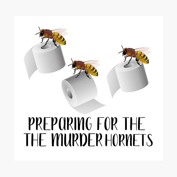 Lámina fotográfica «Preparándose para asesinar abejas avispas con papel ... Lámina fotográfica «Preparándose para asesinar abejas avispas con papel ...