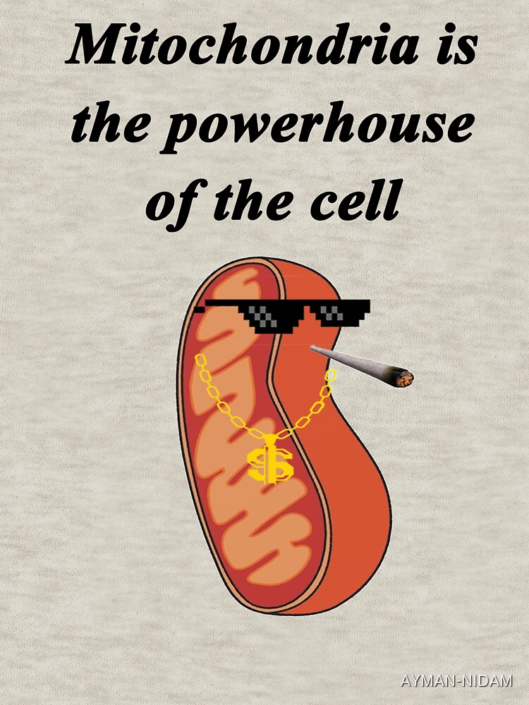 Mitochondria Is The Powerhouse Of The Cell Zipped Hoodie By Ayman