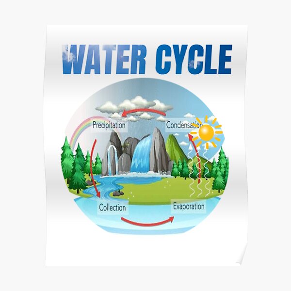 Stationery Science Postcard Water Cycle Postcards etna.com.pe