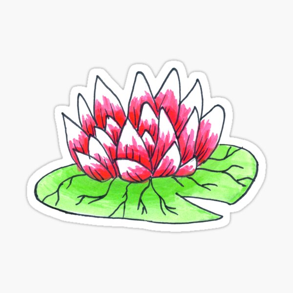 "pink and green lily pad" Sticker for Sale by ZoeTissiack | Redbubble