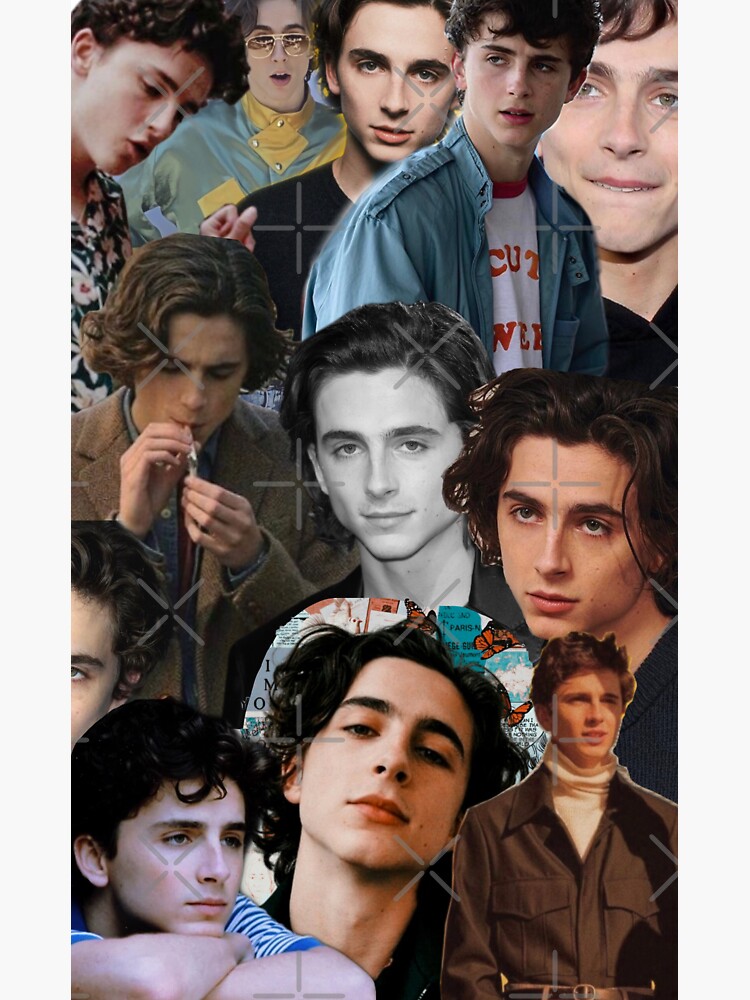 "Timothee Chalamet Collage Design" Sticker for Sale by Mikelazv | Redbubble