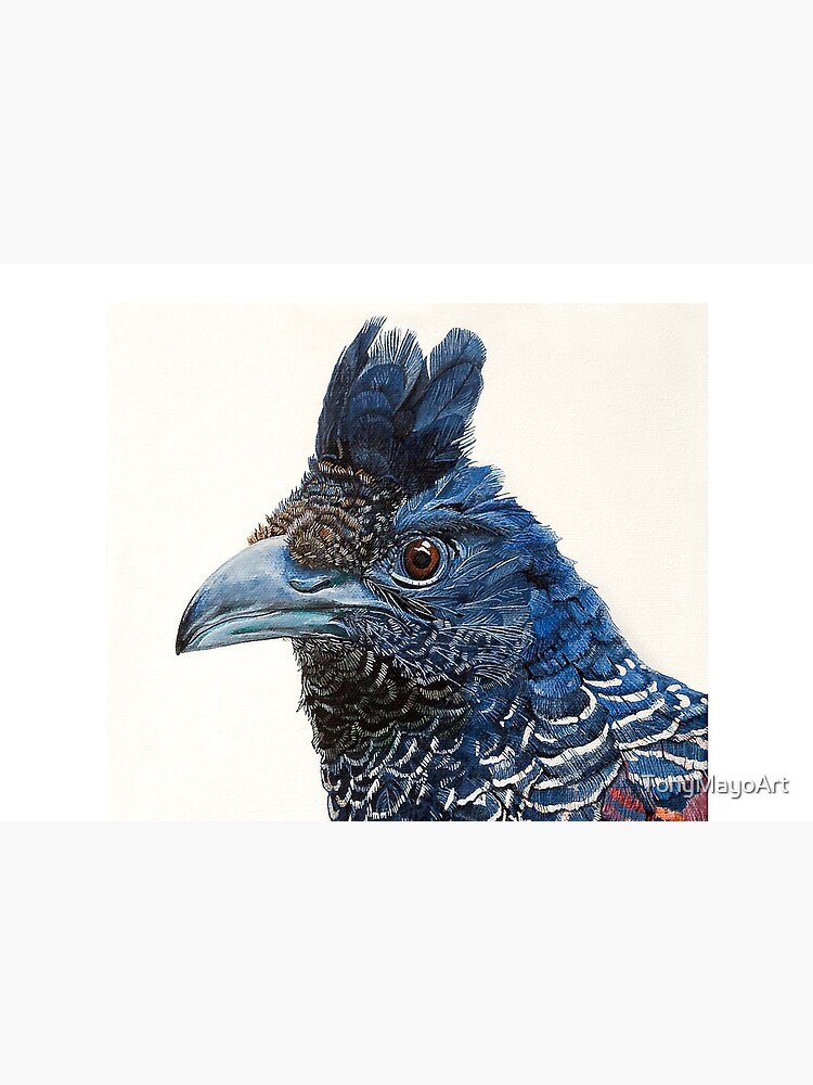 "Banded Ground Cuckoo, an Endangered Species" Mask for Sale by ...