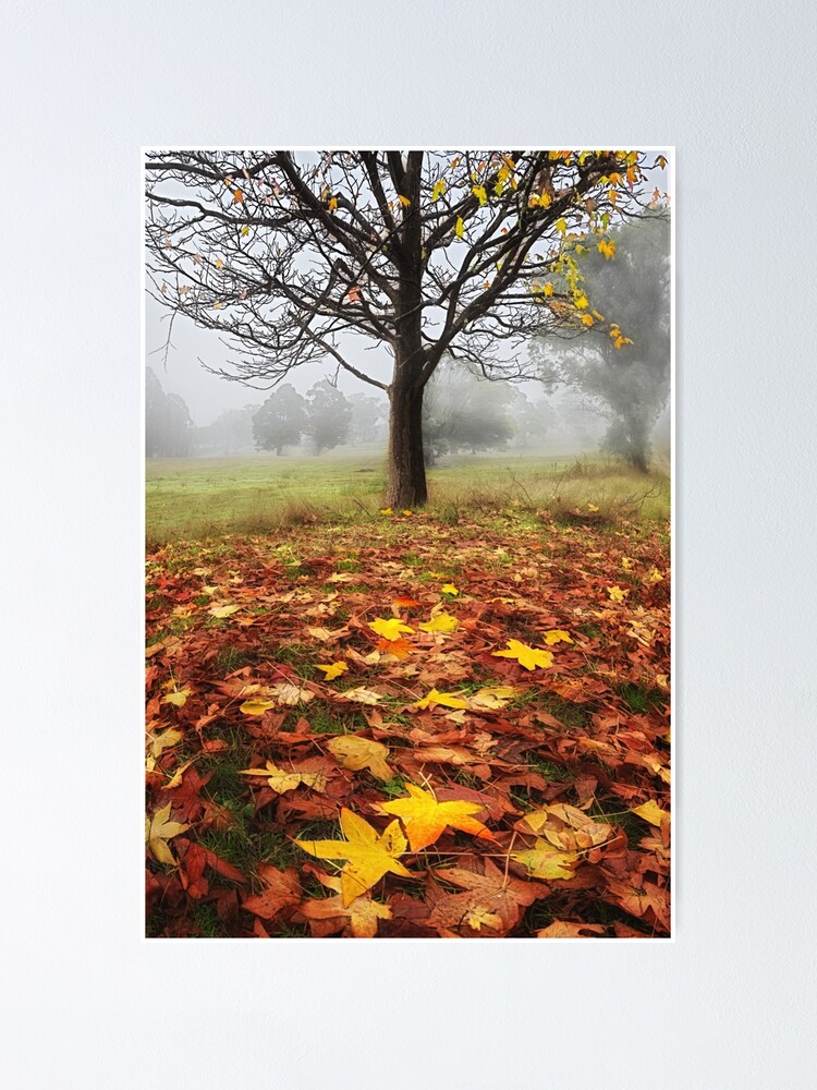 "Autumn Tree" Poster by Lenscapeimages | Redbubble