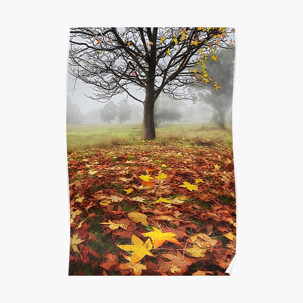"Autumn Tree" Poster by Lenscapeimages | Redbubble