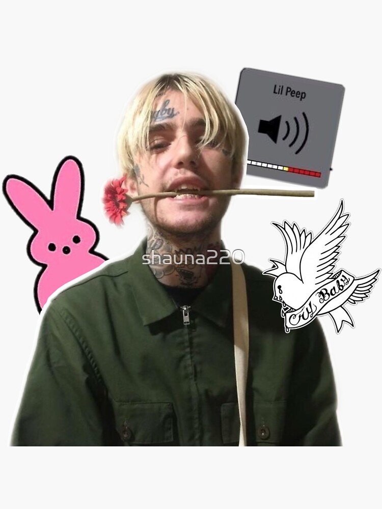"Lil Peep Flower Aesthetic " Sticker for Sale by shauna220 | Redbubble