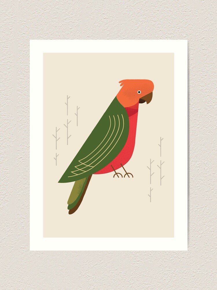 "Australian King Parrot, Bird of Australia" Art Print by printedsparrow ...