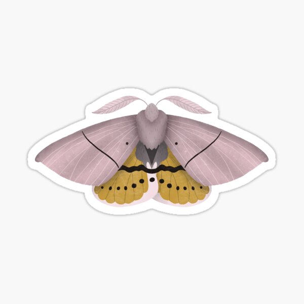 "Baby Pink Moth" Sticker by caileeh | Redbubble
