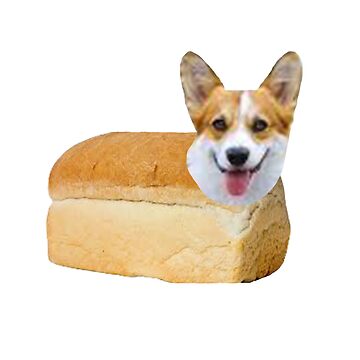 "Corgi Loaf" Greeting Card for Sale by marykatebuckman | Redbubble