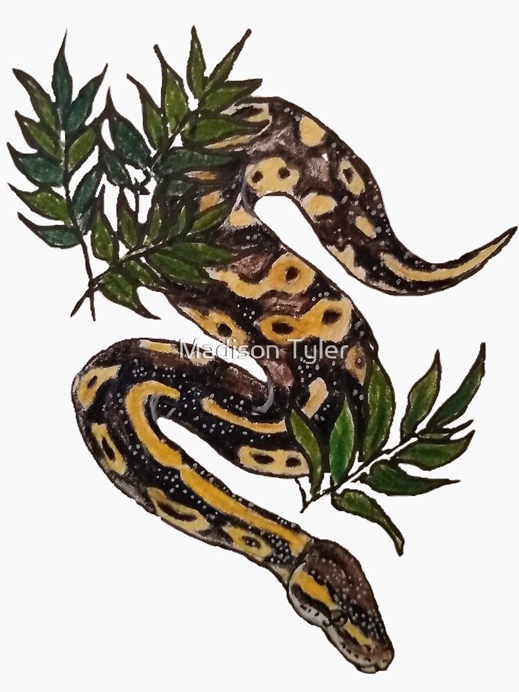 "Slithering Python" Sticker by Madrae | Redbubble