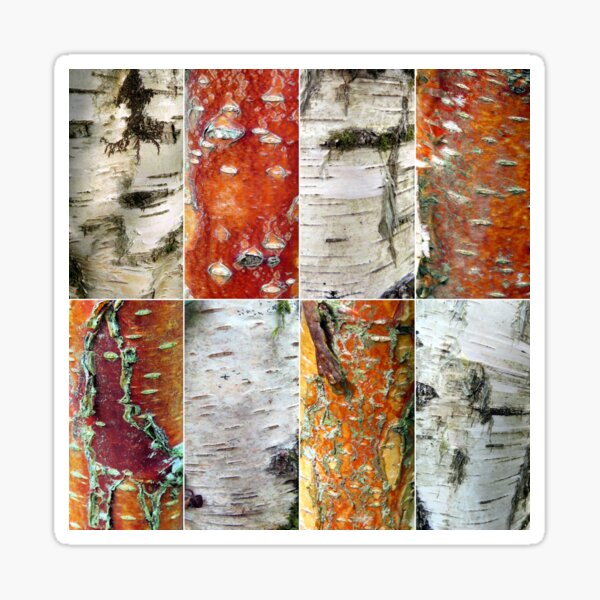 "bark" Sticker for Sale by KathleenDawson | Redbubble