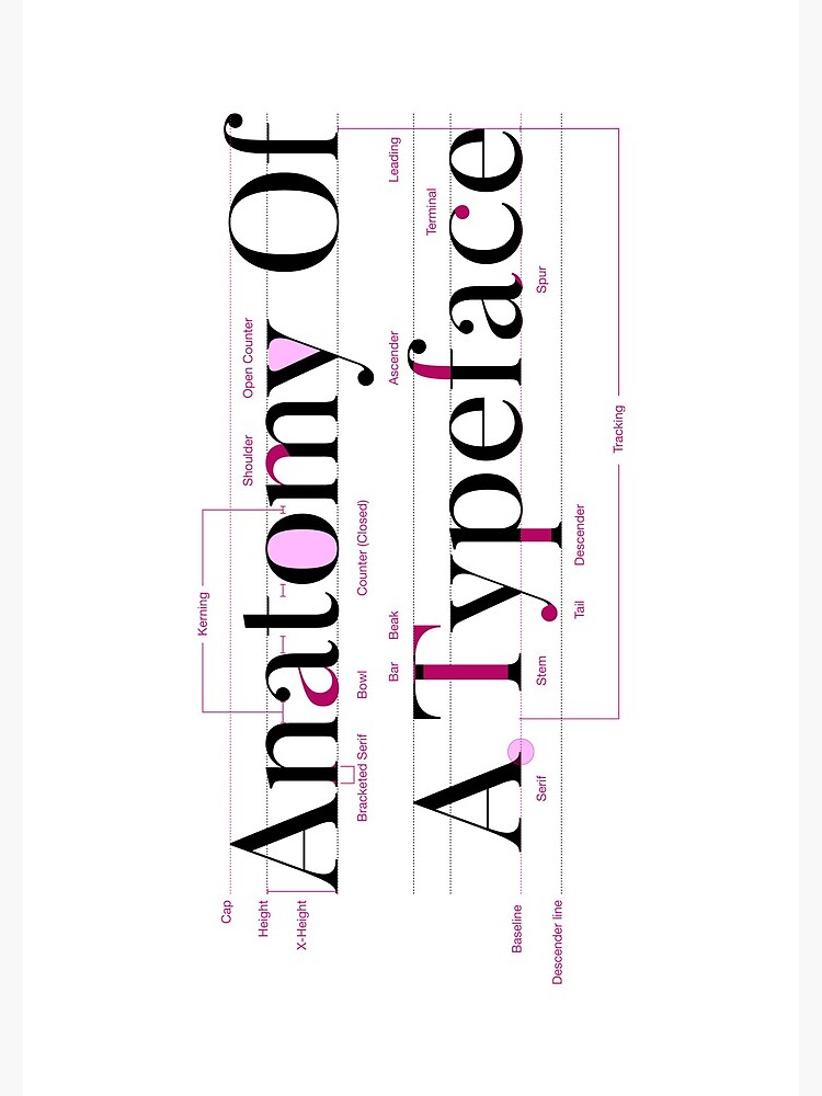 "Anatomy Of A Typeface | Graphic Designer Gift Cheat Sheet" Spiral ...