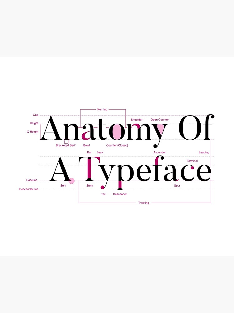 "Anatomy Of A Typeface | Graphic Designer Gift Cheat Sheet" Canvas ...