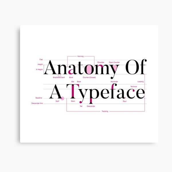 "Anatomy Of A Typeface | Graphic Designer Gift Cheat Sheet" Canvas ...