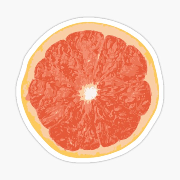 "Grapefruit" Sticker by Chillions | Redbubble
