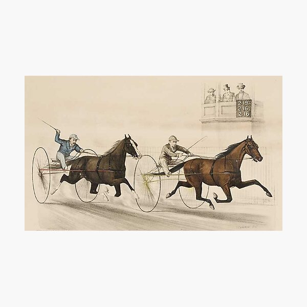Harness Racing Wall Art | Redbubble