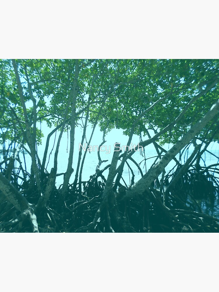 "Mangrove Trees in Belize" Sticker for Sale by aldersmith | Redbubble