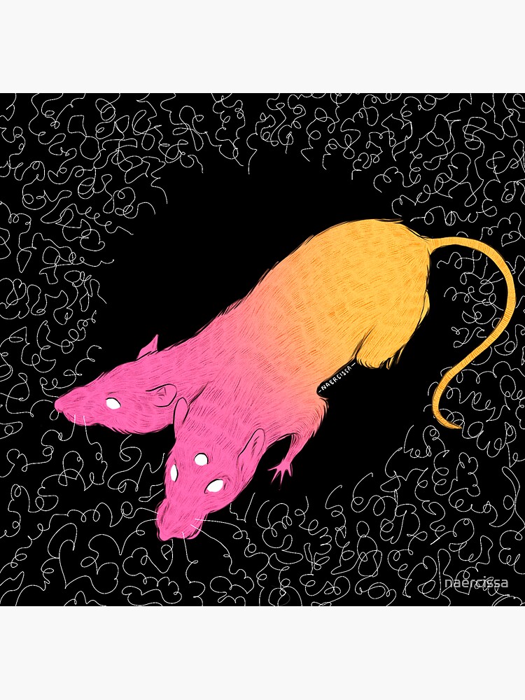 "two headed rats ╱ by naercissa" Sticker by naercissa | Redbubble
