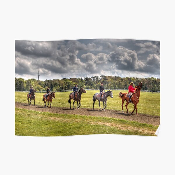 "The gallops Newmarket " Poster by CWPImages | Redbubble