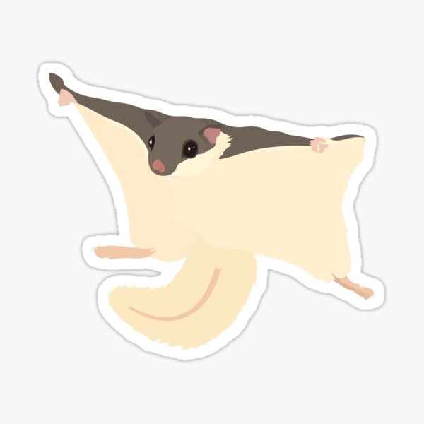 "Flying Squirrel - Glaucomys sp." Sticker for Sale by emmapardini ...
