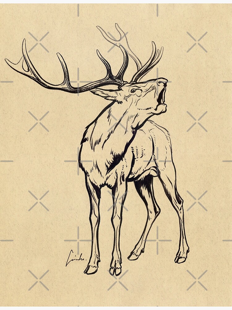 "Red deer drawing" Poster for Sale by SakalDesign | Redbubble
