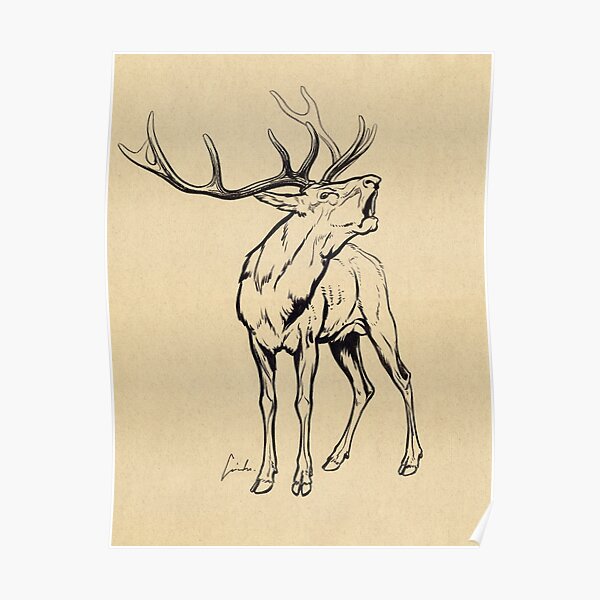 "Red deer drawing" Poster for Sale by SakalDesign | Redbubble