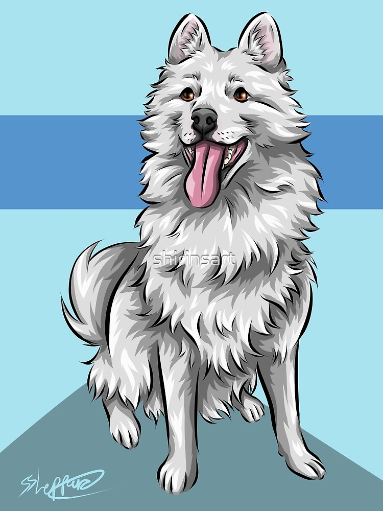 Póster «Pomsky blanco | Arte lindo del perro | Fondo azul» de ...