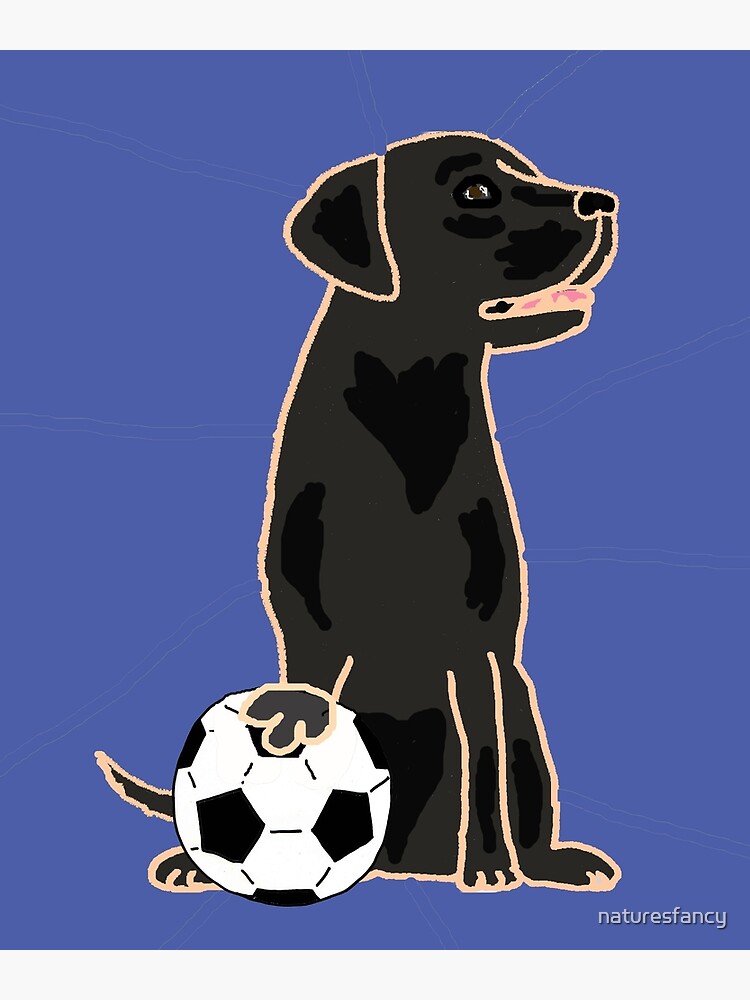 "Cute Black Lab Playing Football Cartoon" Poster by naturesfancy ...
