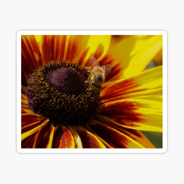 "Gathering Pollen" Sticker for Sale by heatherfriedman | Redbubble