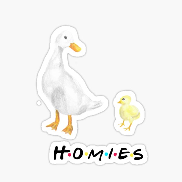 "The Chick and the Duck - Homies" Sticker for Sale by 1994FRIENDS2004 ...