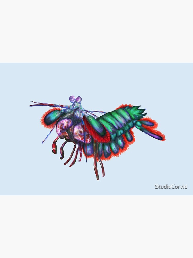 "Peacock mantis shrimp" Mask for Sale by StudioCorvid | Redbubble
