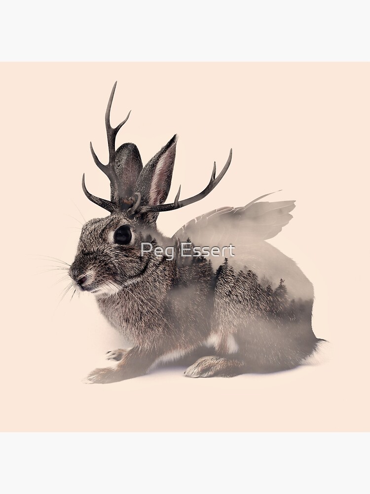 "Wolpertinger" Art Print for Sale by pegessert | Redbubble