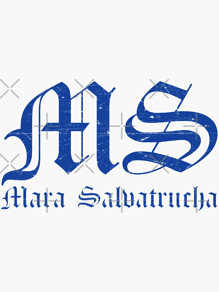 Logotipo De Mapua Slhs Erasmus+ – GMS