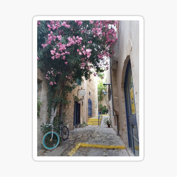 "Jaffa, Tel Aviv, Holy land, Blue door, Blue bicycle " Sticker for Sale ...