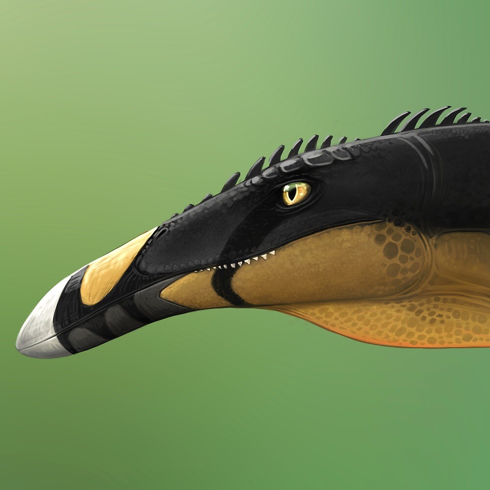 "Teraterpeton" by Amaruuk | Redbubble