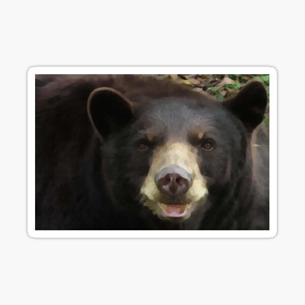 "Happy Bear" Sticker by MelKowasic | Redbubble