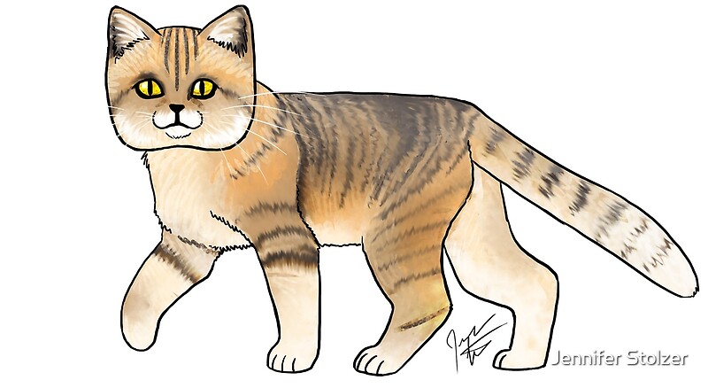 "Sand Cat" by Jennifer Stolzer | Redbubble