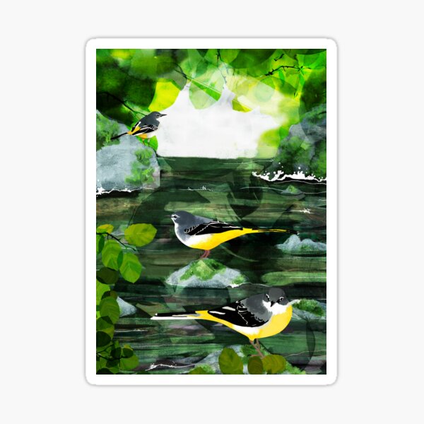 "Grey Wagtails" Sticker for Sale by katherineblower | Redbubble