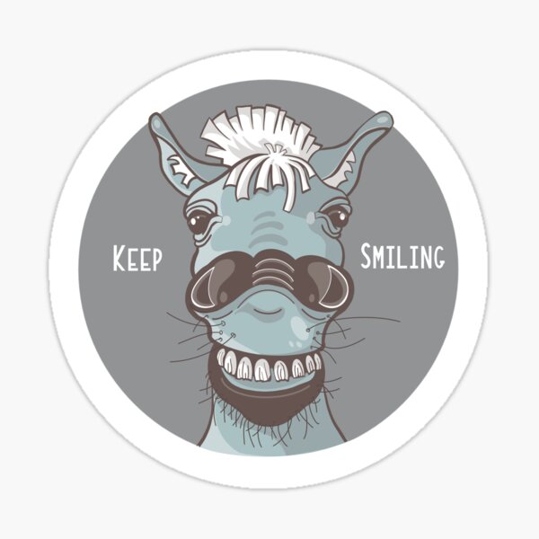 "Cartoon horse, Keep Smiling." Sticker for Sale by DebbieJoyArt | Redbubble