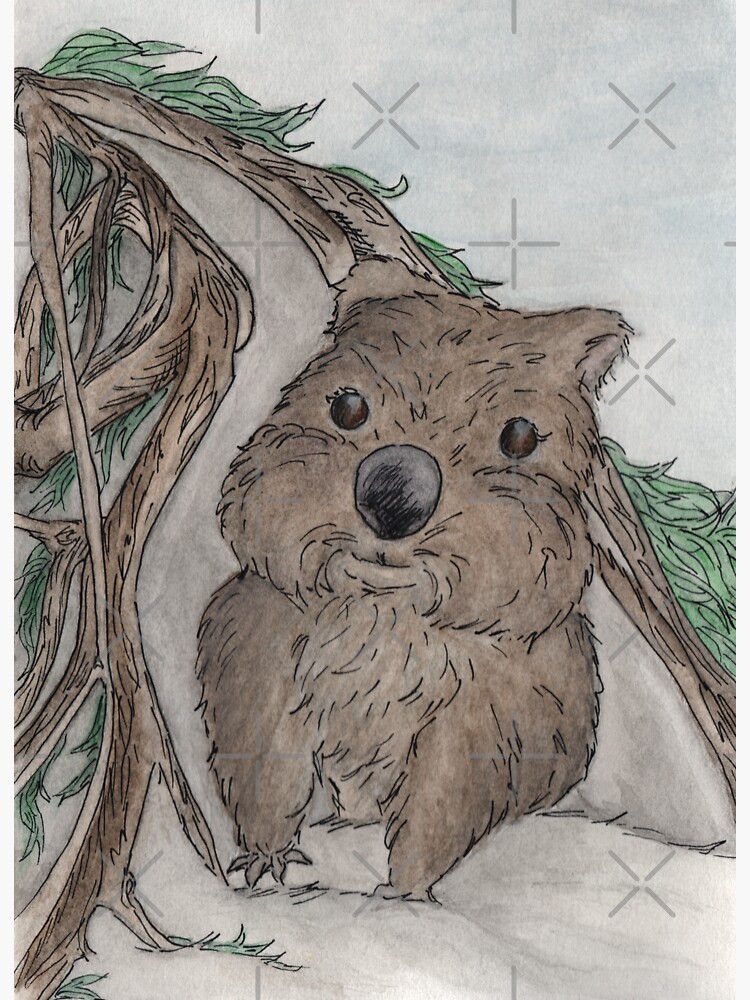 "Curious Wombat" Sticker for Sale by AussieLogic | Redbubble