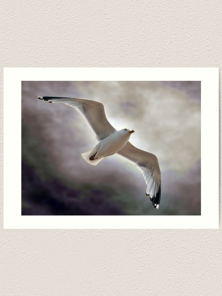 "Soaring" Art Print by gtjeddah | Redbubble